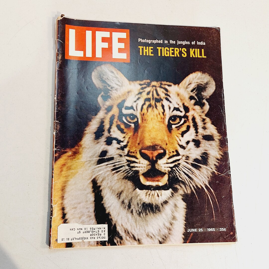 Vtg LIFE Magazine June 25, 1965 - the Tiger's Kill - Etsy