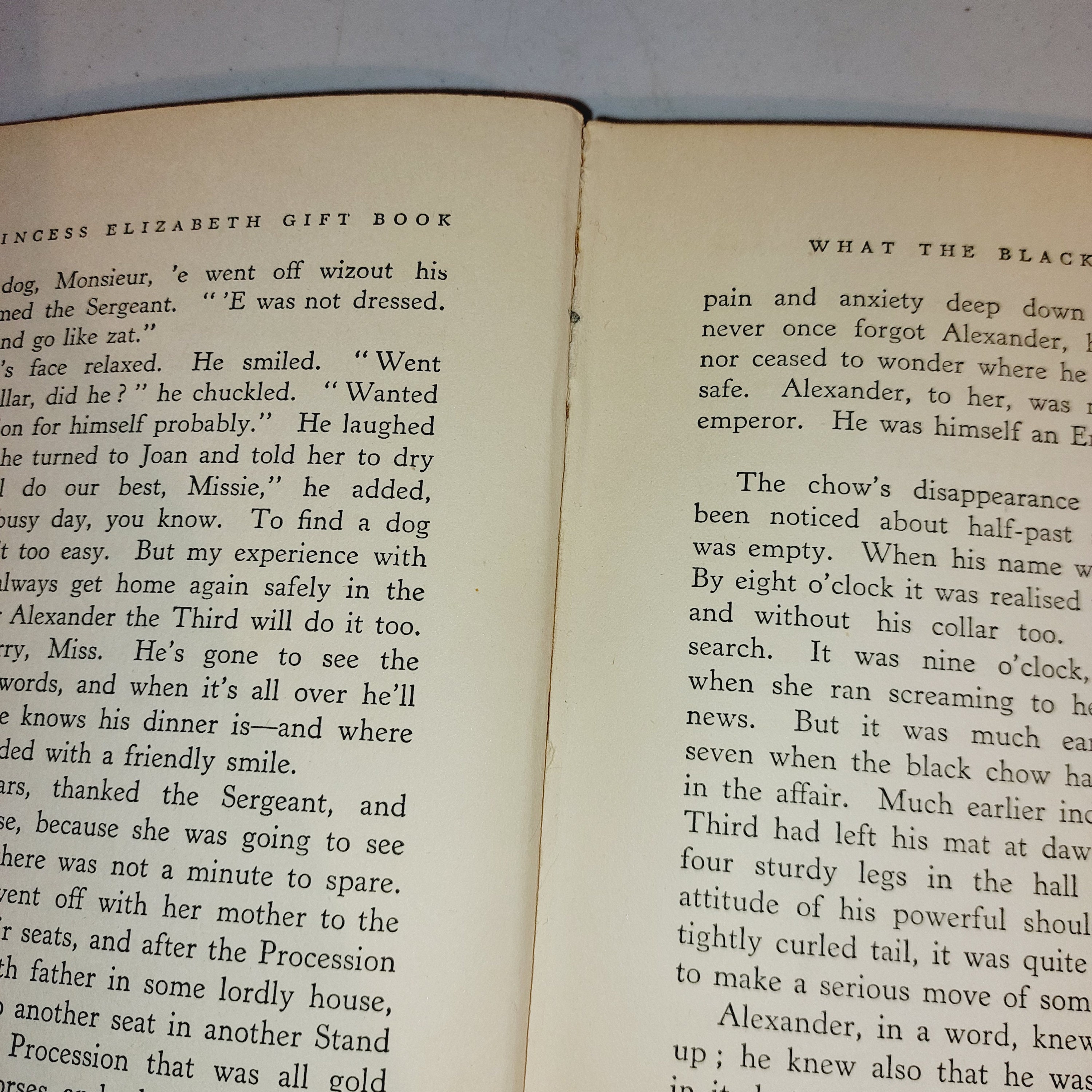 Vtg 1935 the Princess Elizabeth Gift Book- Hardcover - Etsy