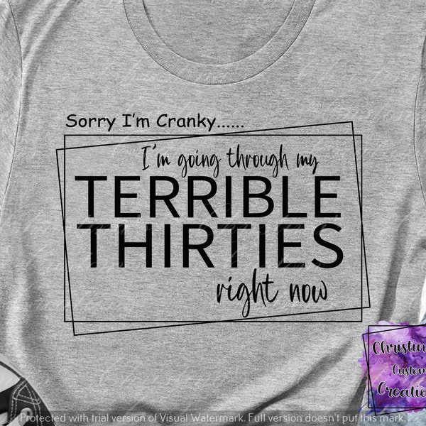 Sorry Im Cranky Im Going Through My Terrible Png - Etsy