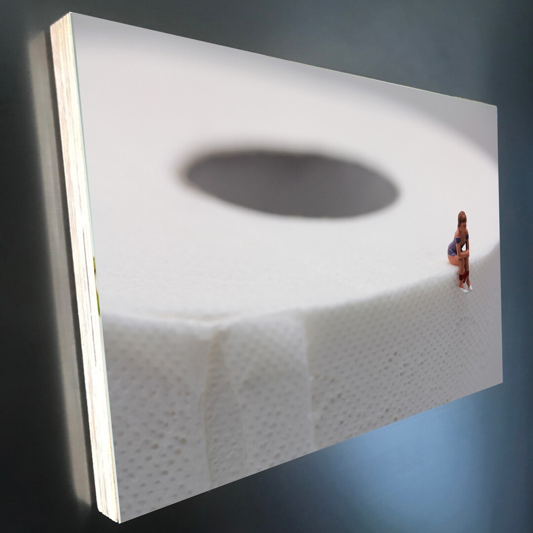 Toilet Paper Lady pictures - Etsy