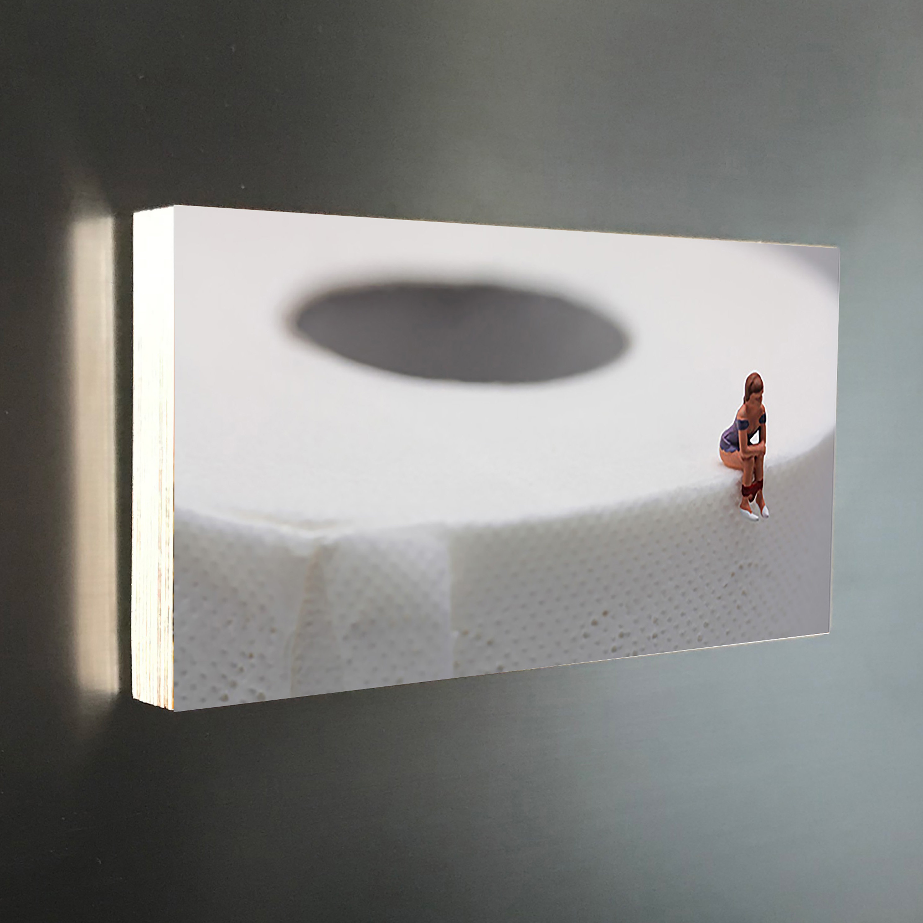 Toilet Paper Lady pictures - Etsy