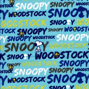 Woodstock and Snoopy Classroom Safety School Cover Emergency Lockdown ...