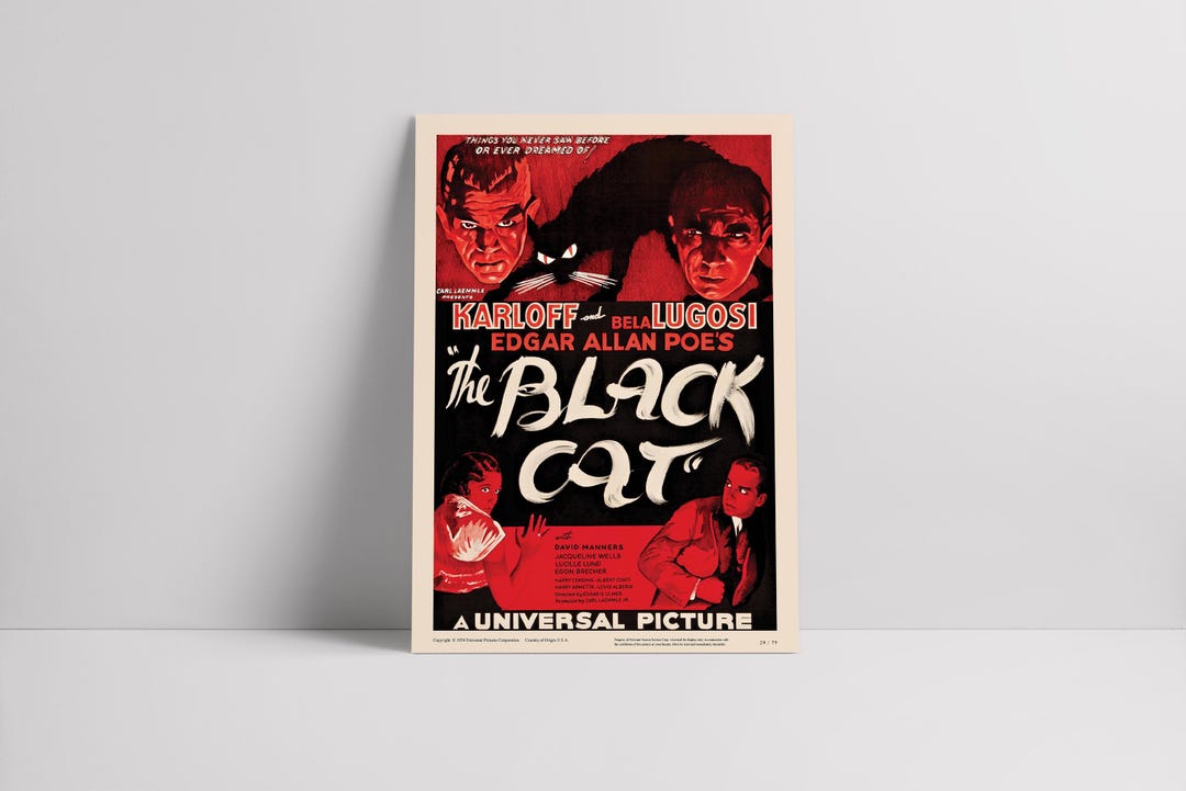 The Black Cat 1934: Boris Karloff, Bela Lugosi, David Manners ...