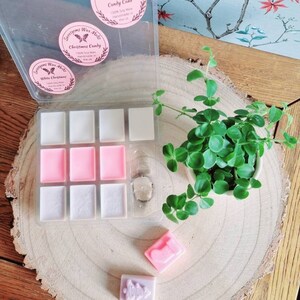 12 Days of Christmas Wax Melt Clamshells, Handmade, Strong Scented. - Etsy