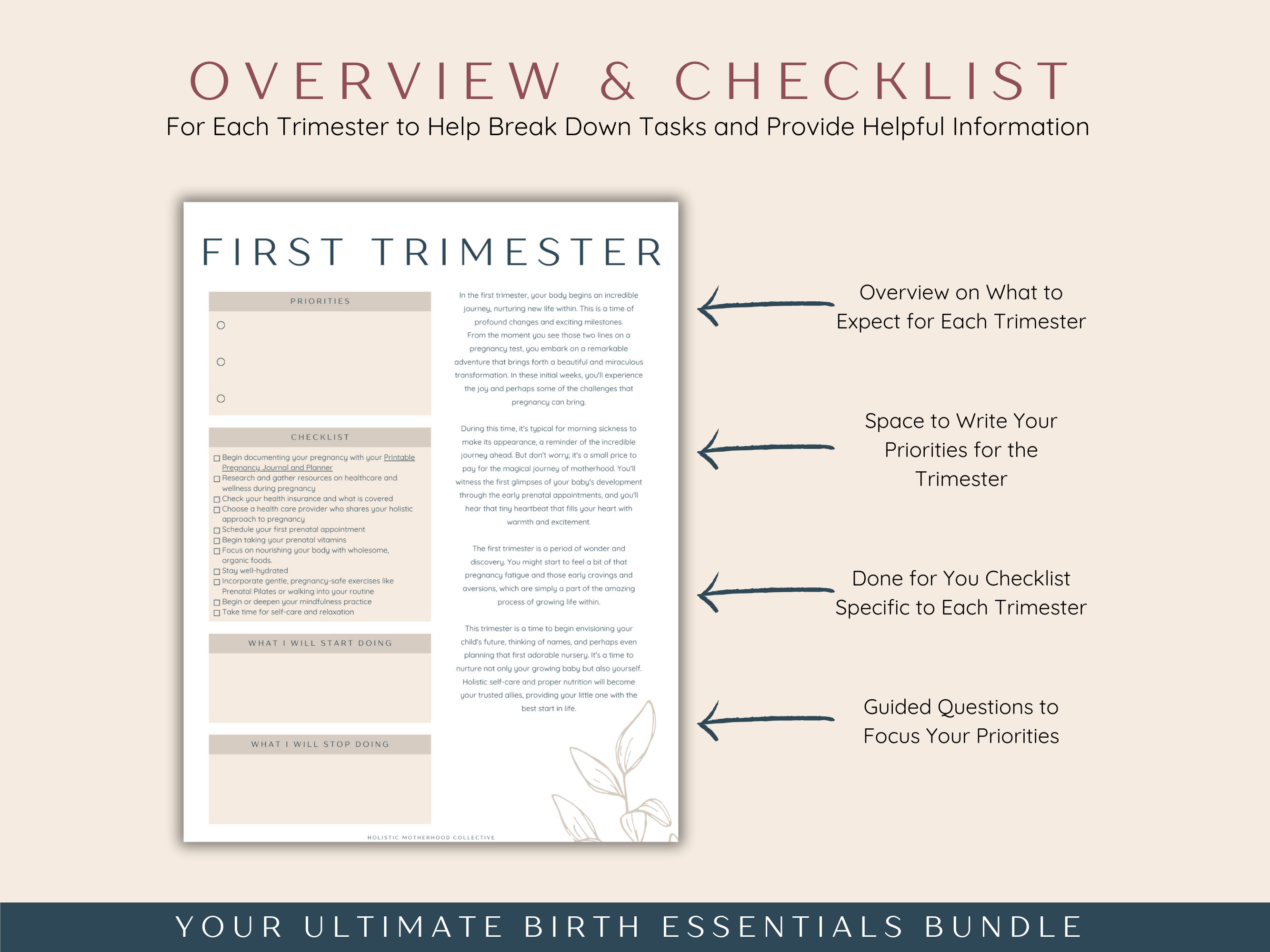 Birth Plan Templates & Pregnancy Checklist Bundle, First Time Mom ...