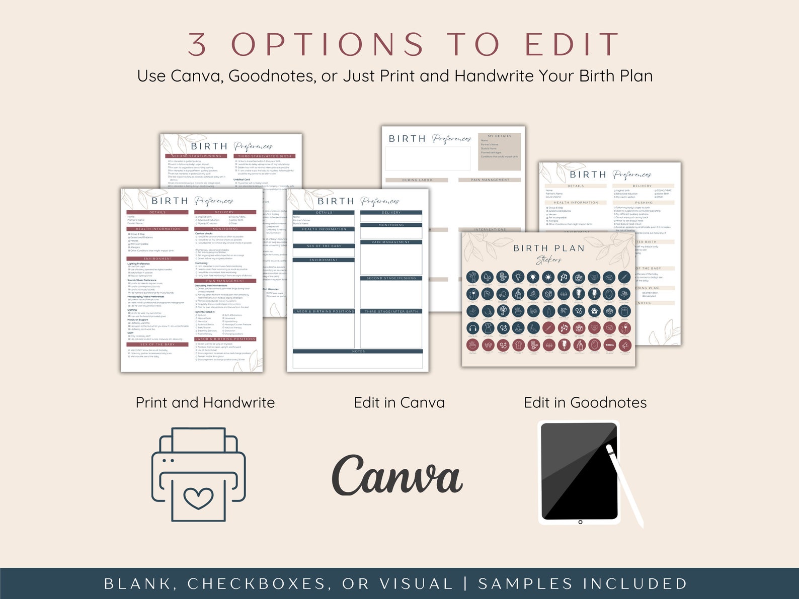 Visual Birth Plan Template, Editable Birth Plan Checklist, Goodnotes ...