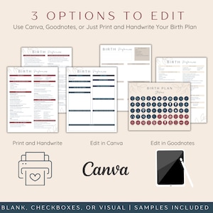 Visual Birth Plan Template, Editable Birth Plan Checklist, Goodnotes ...