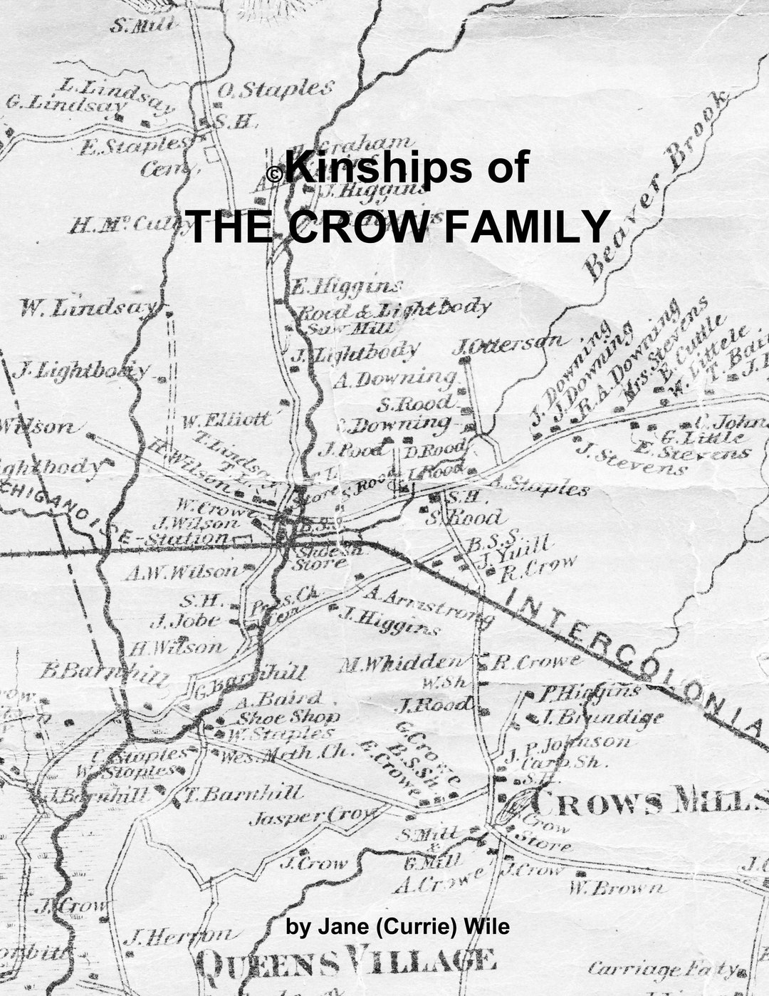 The Kinships of the CROW Family - Etsy