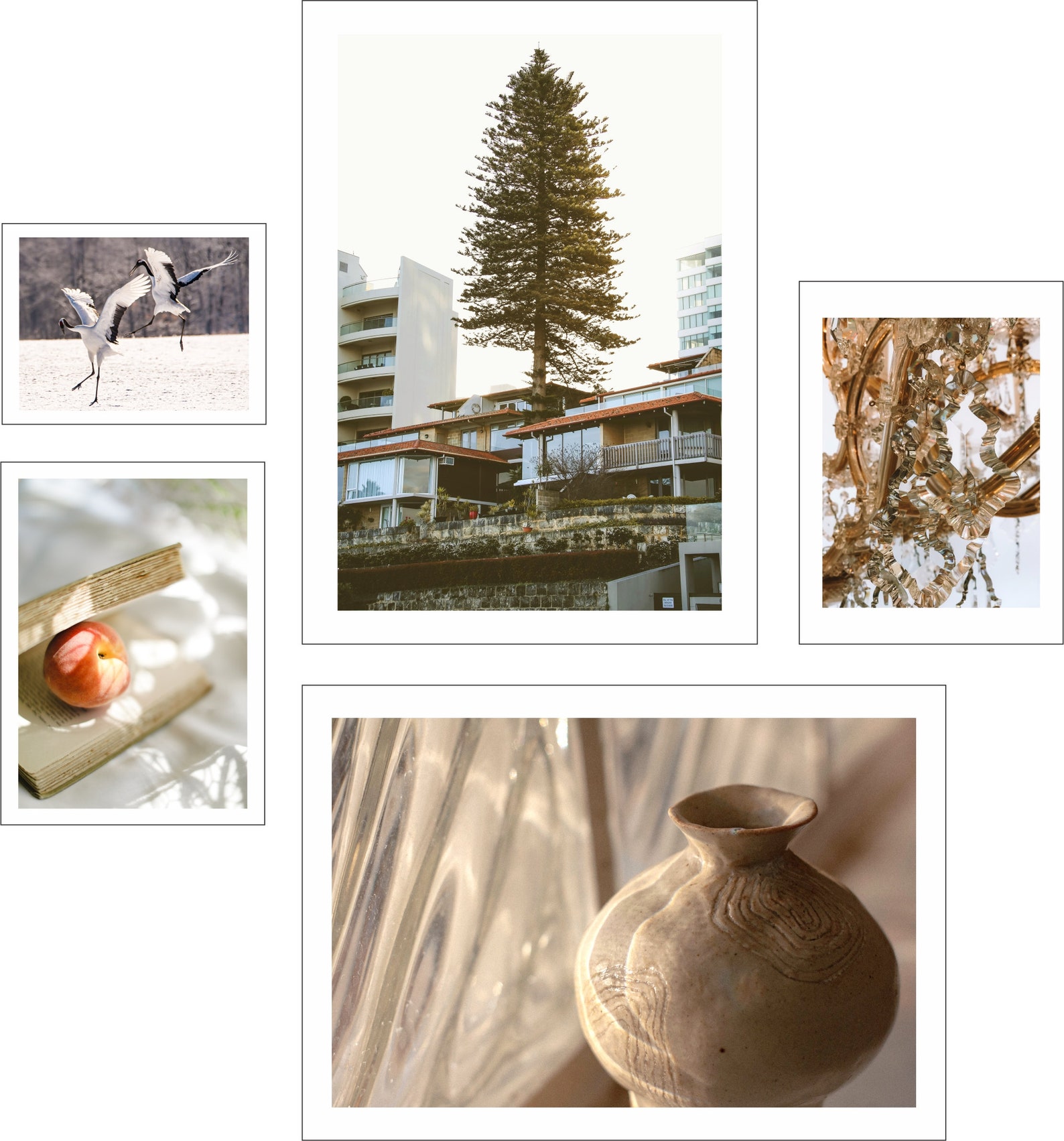 Feng Shui Health Area Printable Poster Set, Wall Decoration, Feng Shui ...