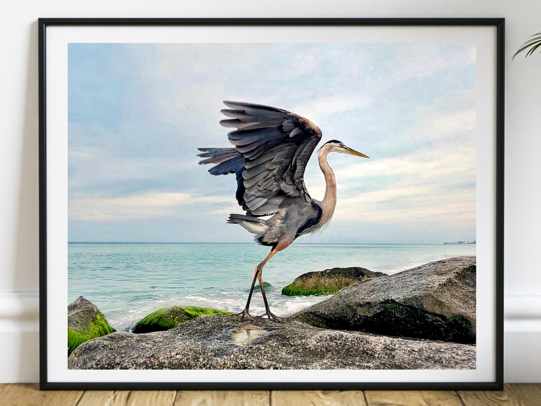 Great Blue Heron Bird Print, Wall Art Decor, Heron Bird Print, Large ...