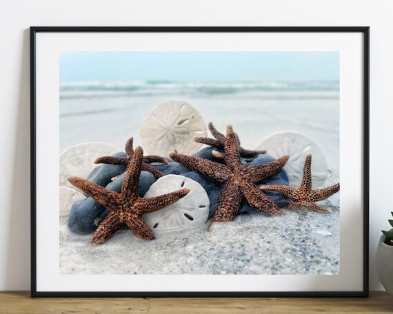 Starfish Nautical Bathroom Decor Beach Bathroom Wall Art | Etsy