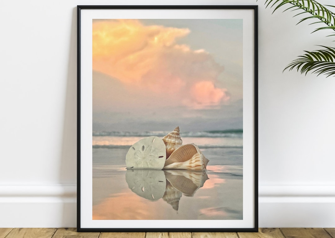 Seashell Fine Art Print, Sand Dollar Print, Ocean Life Artwork, Sea ...