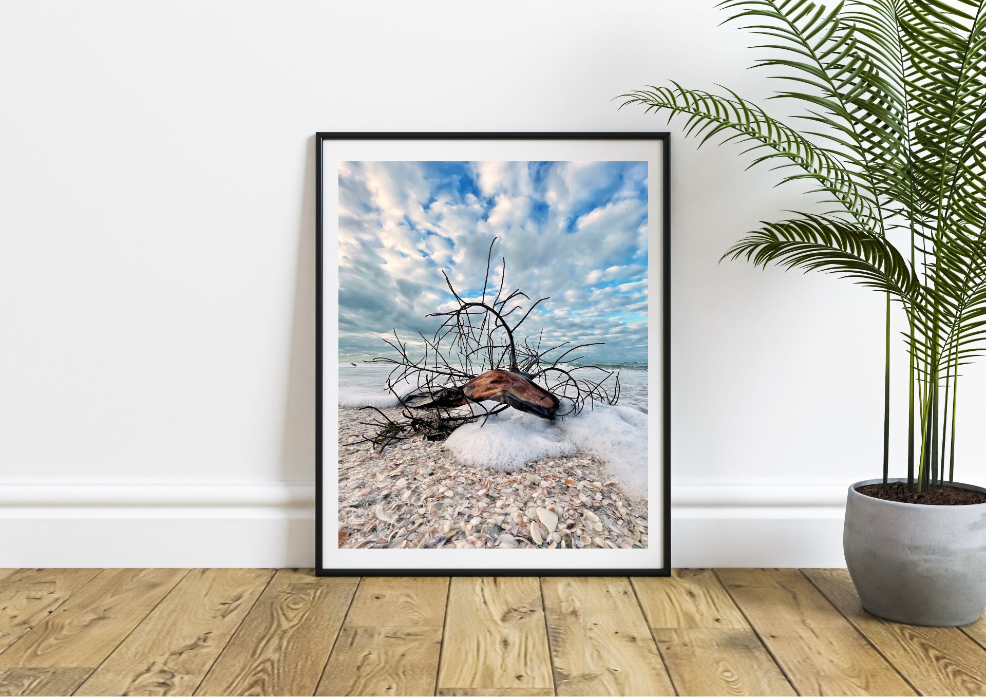 Seaside Fine Art Print, Coastal Wall Art, Seashell Photography, Ocean ...