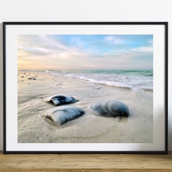 Navy Seashell Art - Etsy