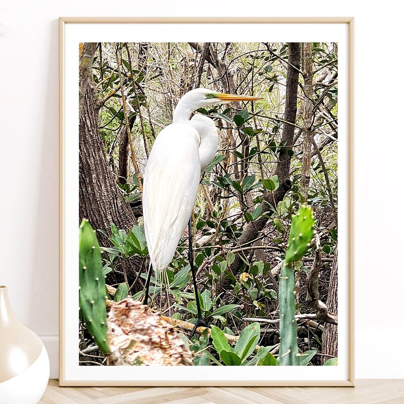 Egret - Etsy