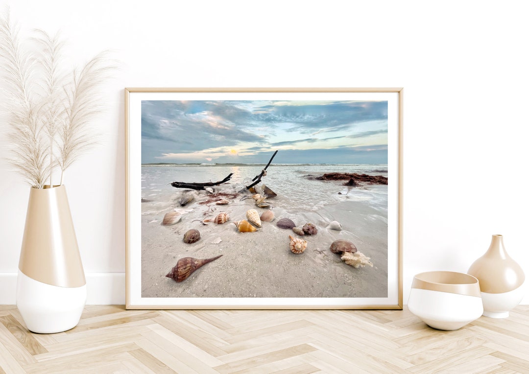 Seashell Photography, Shell Photo, Beach Decor, Fine Art Print, Coastal ...