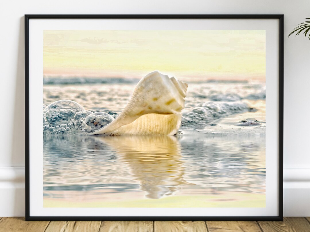 Seashell Photography Print, Nautical Wall Decor Beach Decor Seashell ...