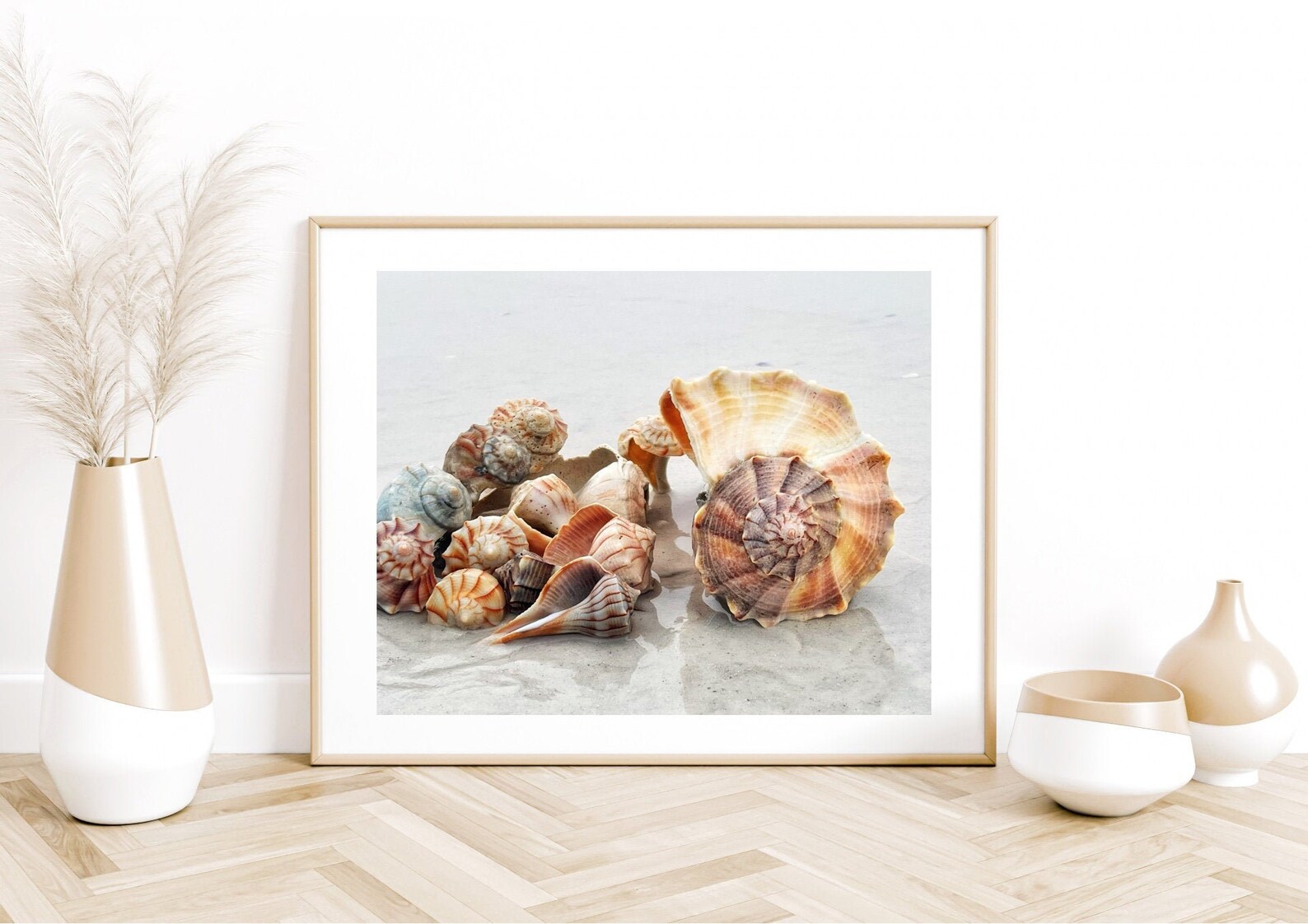 Seashell Art Print Beach House Coastal Wall Decor Florida - Etsy