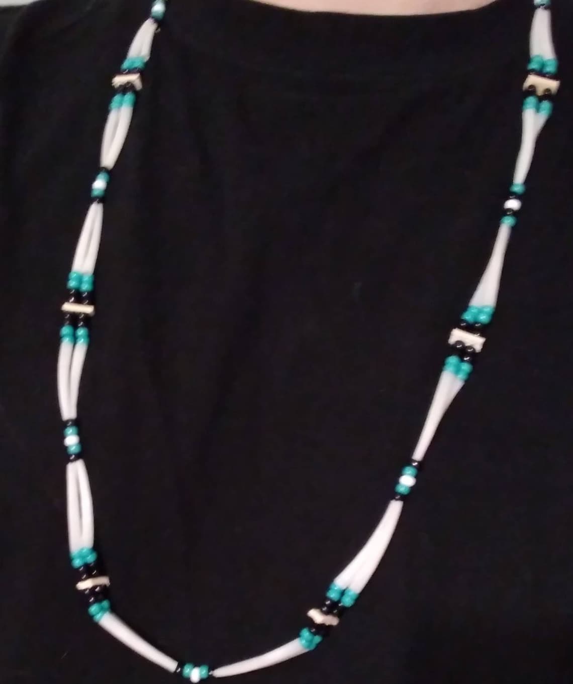 Dentalium Shell Necklace - Etsy