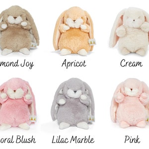 Personalized Embroidered Name Tiny Nibbles Bunny - Etsy