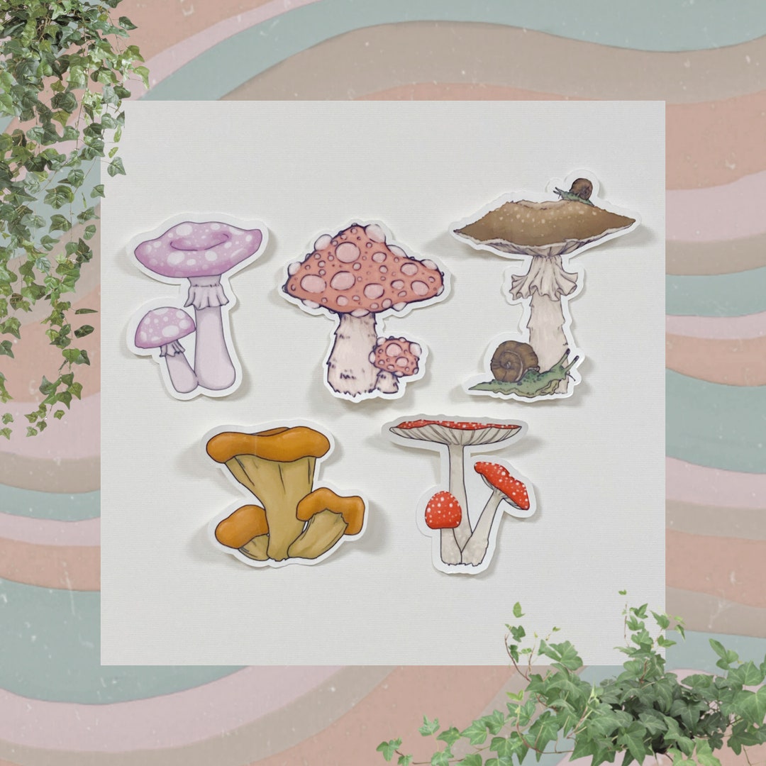 Mushroom Set - Etsy