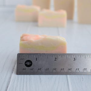Handmade Cold Process Soap Bars, Vegan and Cruelty Free, Phthalate ...