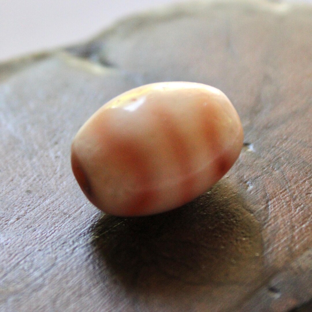 RARE CALMING Old Tibetan Light Pink Double Tiger Tooth Luo Dzi Bead ...