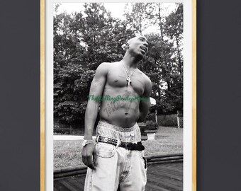 Tupac Thug Life Poster
