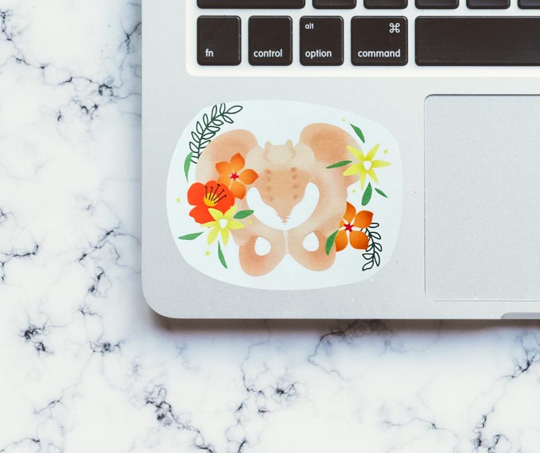 Pelvic Bone Sticker - Etsy