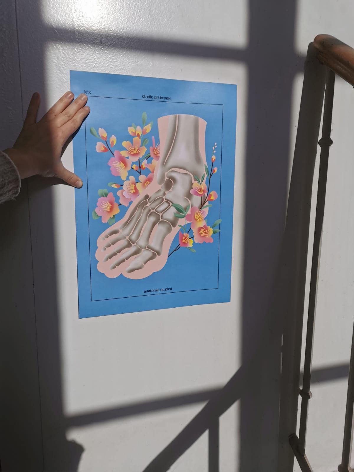 Vintage A3 Poster, Anatomy, Human Body, Foot, Ankle, Cherry Blossom ...