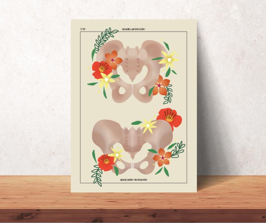 Vintage Poster A3, Anatomy, Human Body, Medical, Pelvis, Flower ...