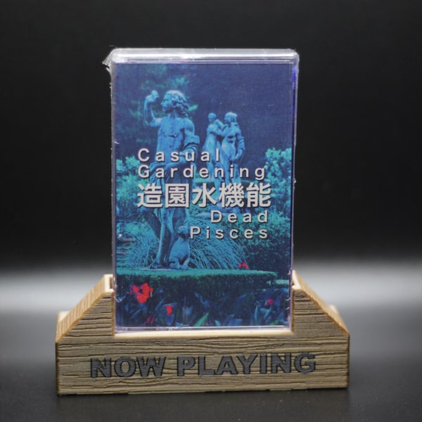 3d Printed Cassette Tapes - Etsy