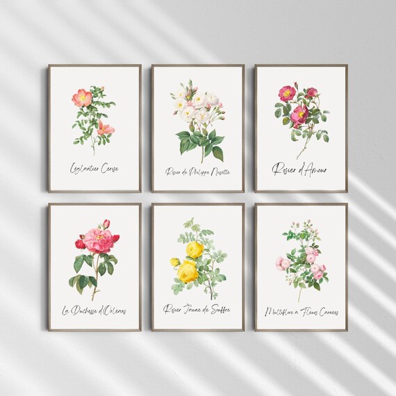Vintage Roses Printable Wall Art Set of 6 Digital Download - Etsy