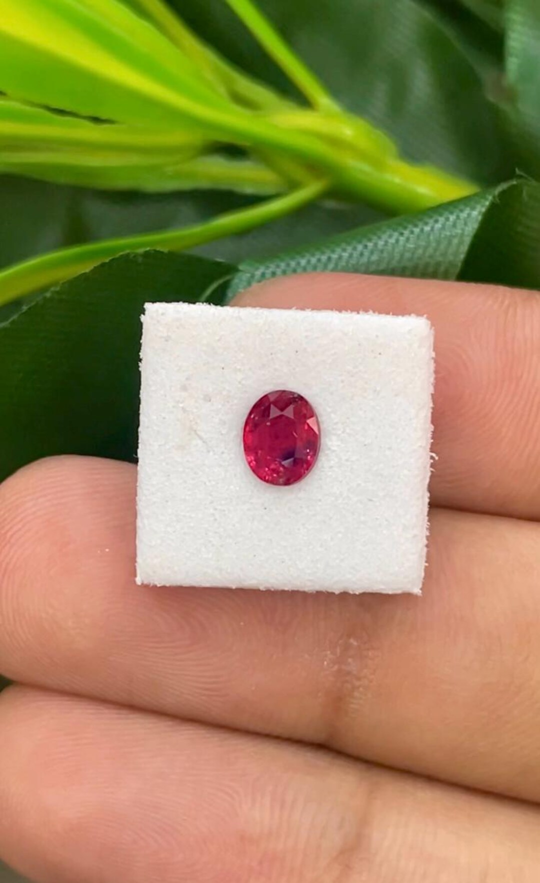Hot Red & A Bit Sapphire Colour Natural Winza Ruby, Sapphire From ...