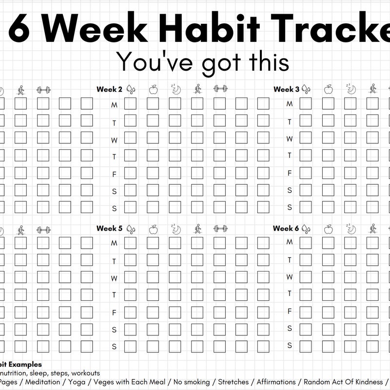 6 Week Goal Sheet - Etsy