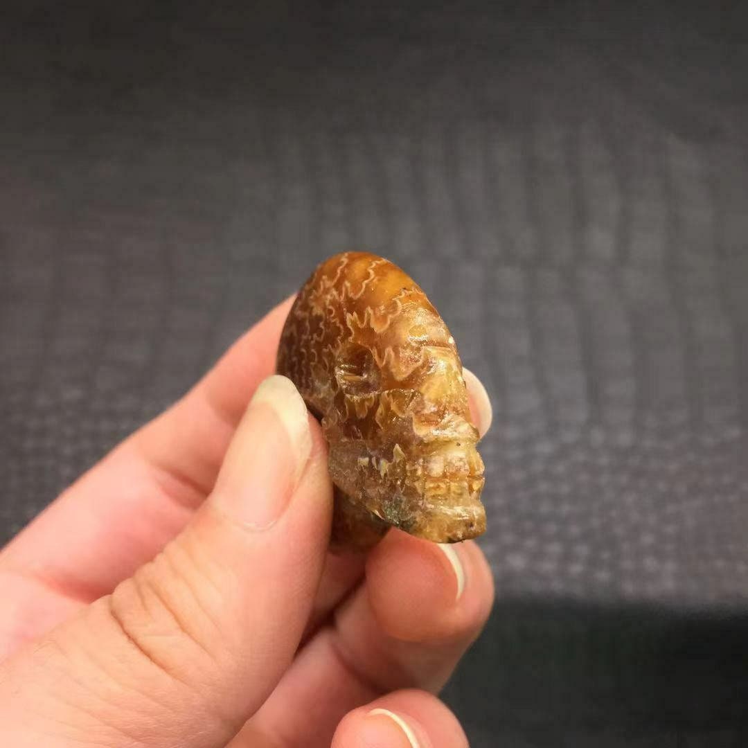 Rare Natural Conch SKULL Quartz Crystal Hand Carved Skull Polished ...