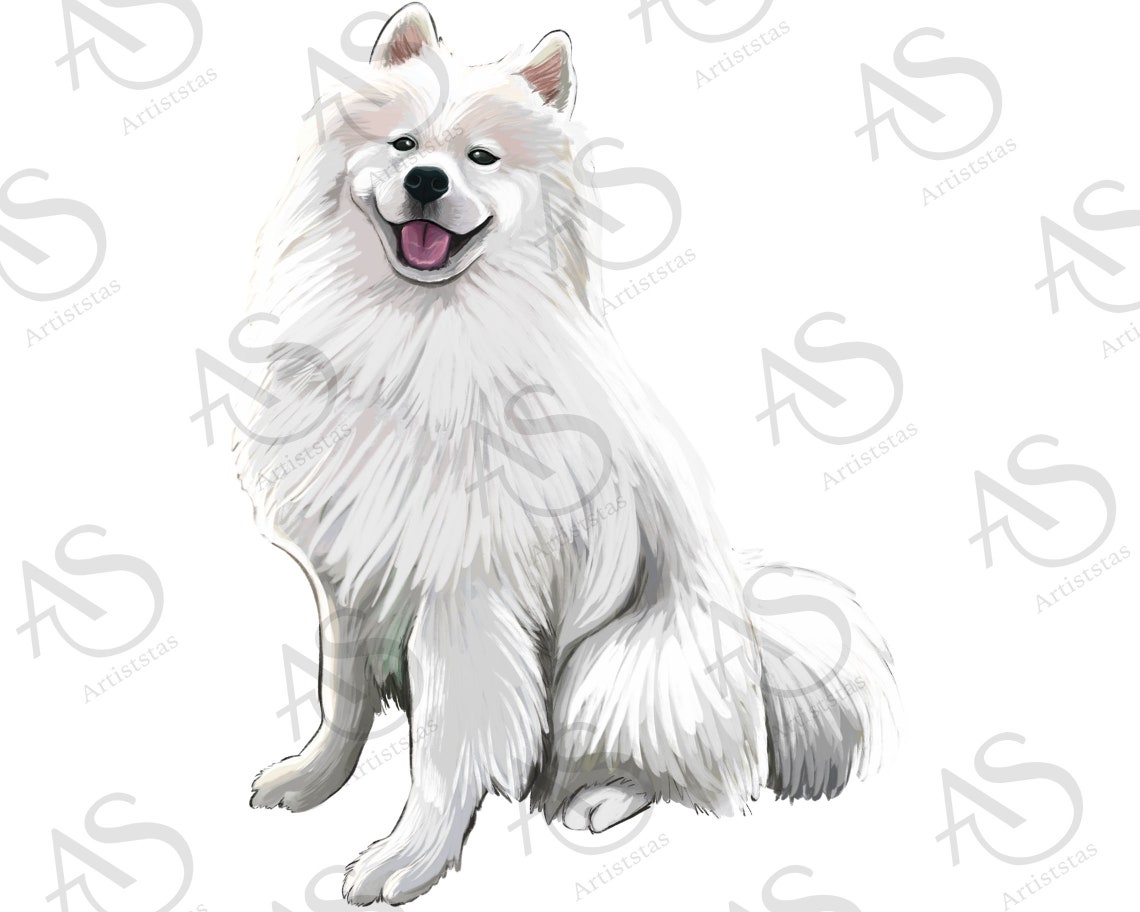 Samoyed Dog Png Sublimation Design Hand Drawn Samoyed Png - Etsy