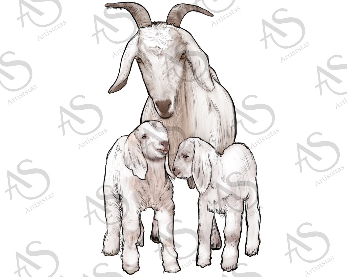 Goat Family Png Goat Sublimation Goat Png Western Goat - Etsy