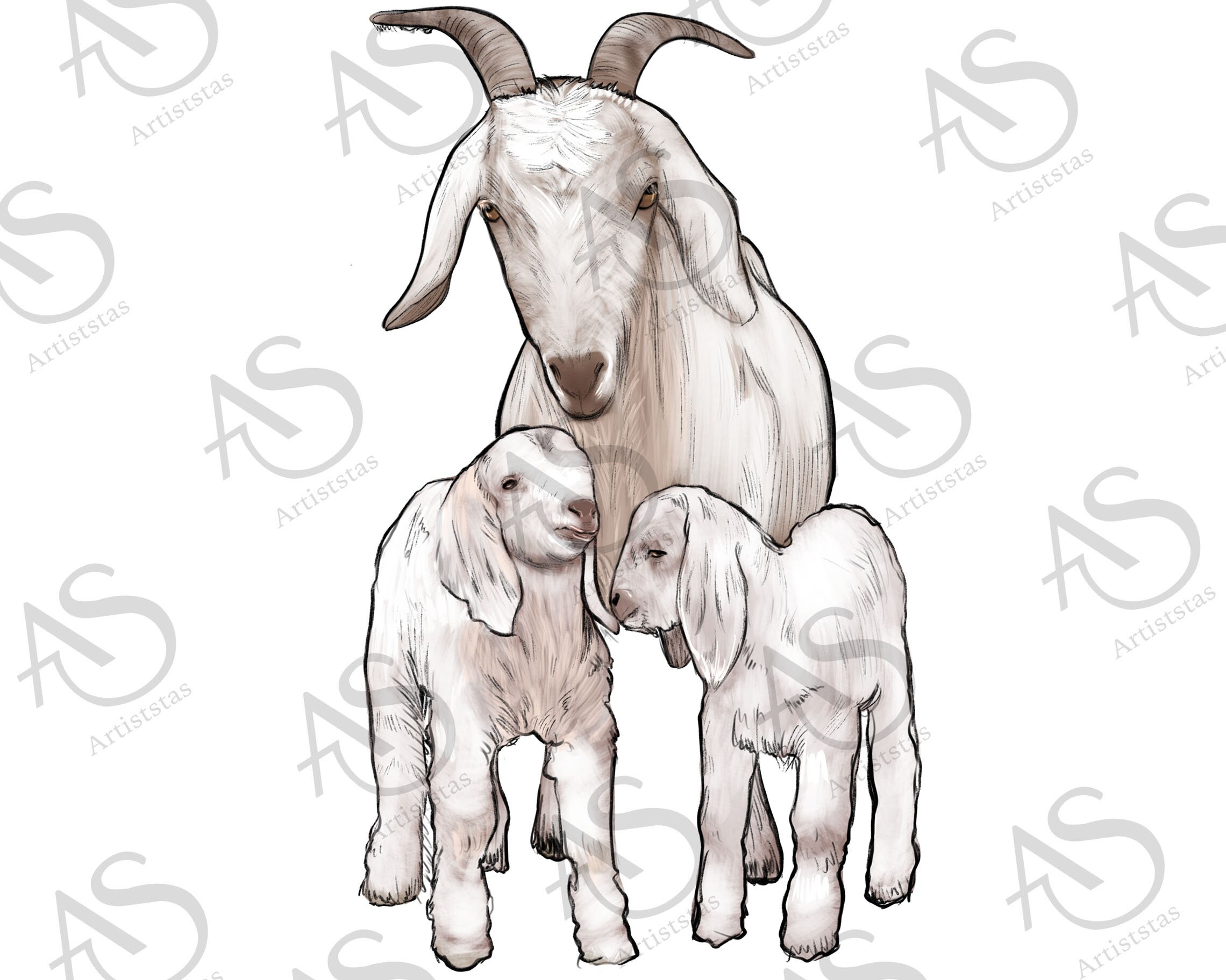 Goat Family Png Goat Sublimation Goat Png Western Goat | Etsy