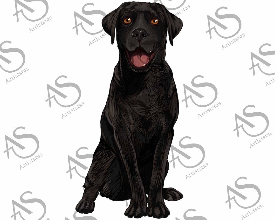 Black Labrador Png Sublimation Design Download Black Dog Png - Etsy