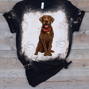 Chocolate Lab Labrador Retriever Png, Labrador Retriever Png, Labrador ...