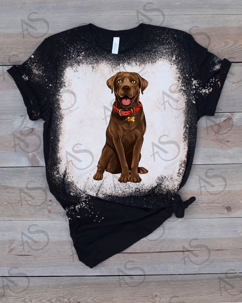 Chocolate Lab Labrador Retriever Png Labrador Retriever Png - Etsy