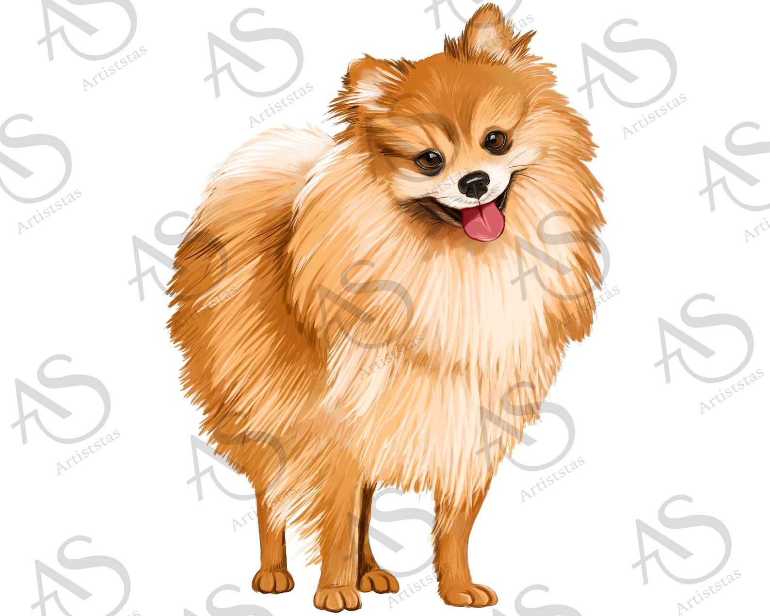 Pomeranians Png Sublimation Design Hand Drawn Pomeranians | Etsy