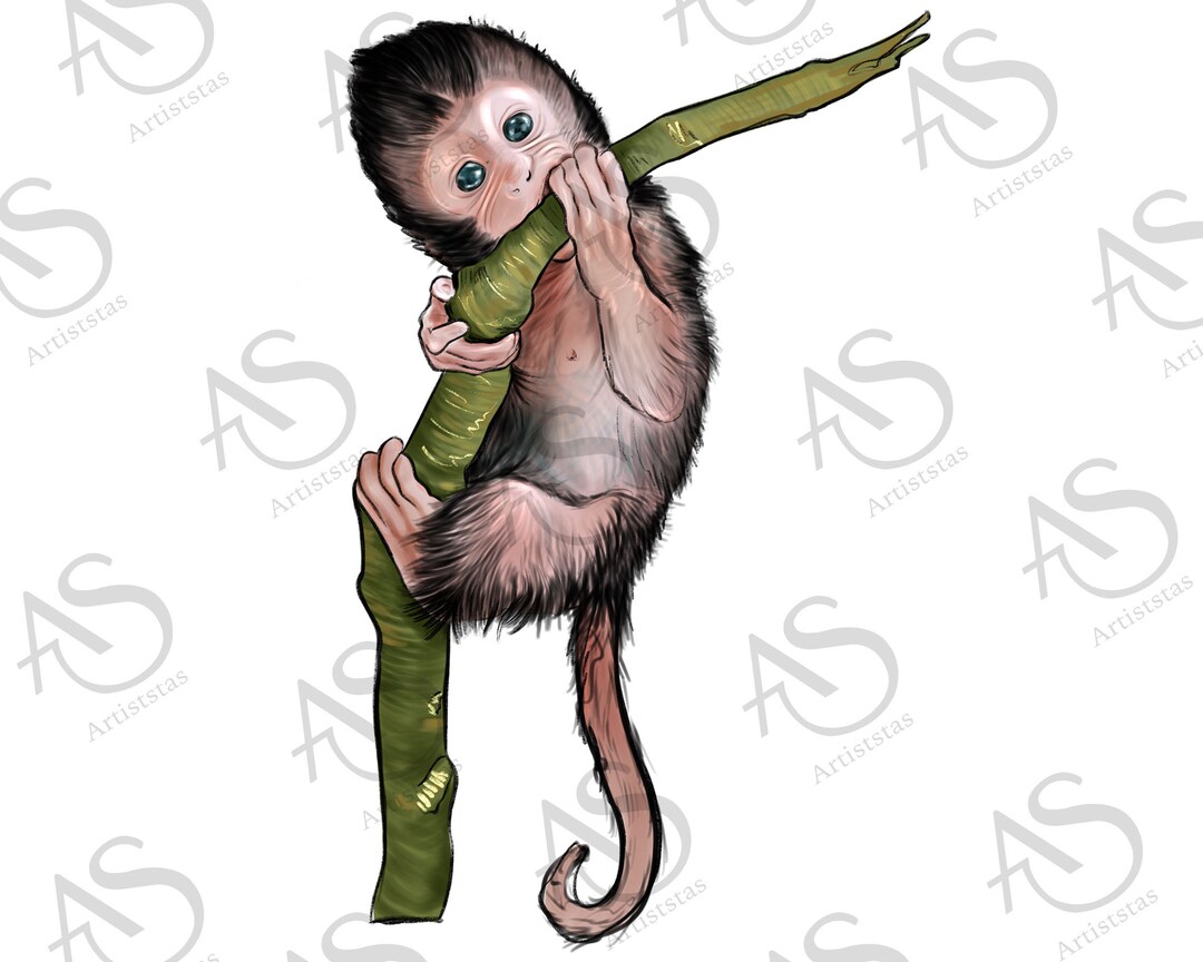 Hand Drawn Baby Monkey Png Sublimation Design, Monkey Png, Monkey ...