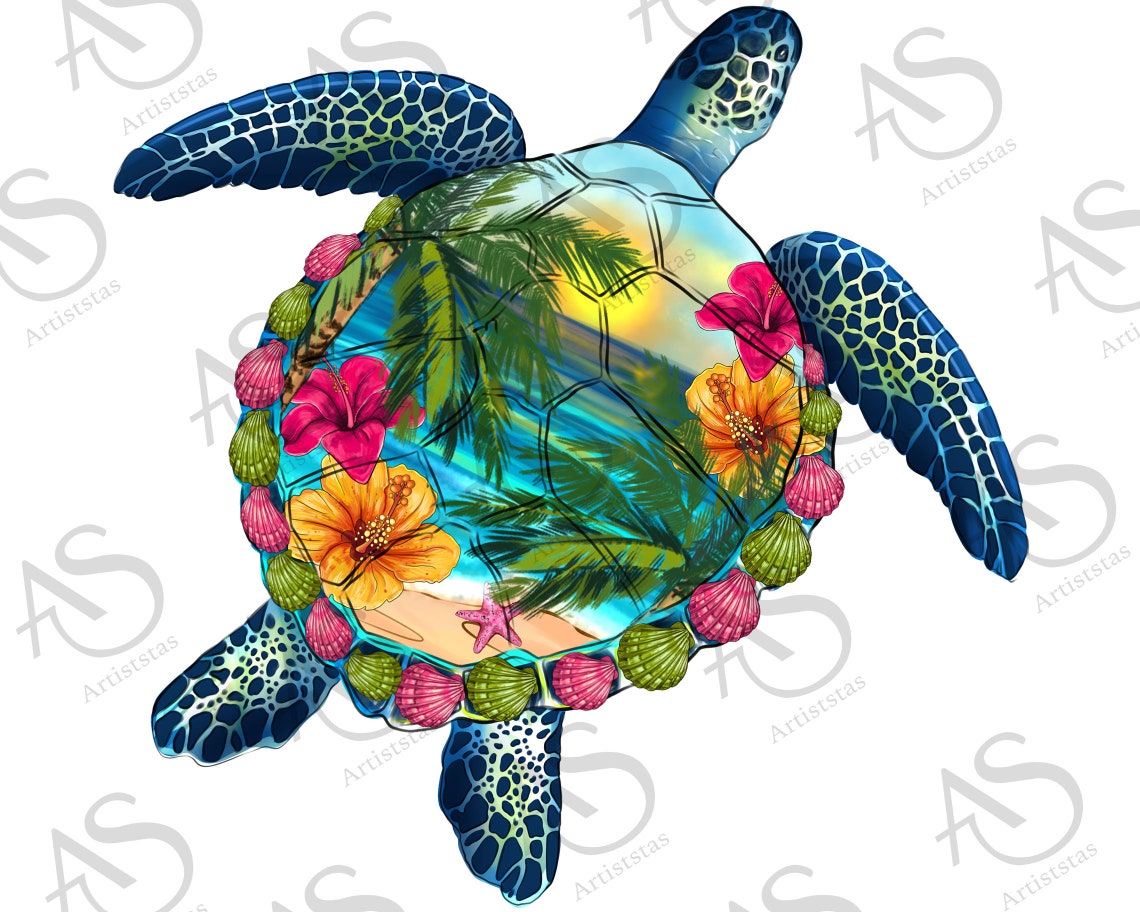 Summer Turtle Png Sublimation Design Hand Drawn Turtle Png - Etsy