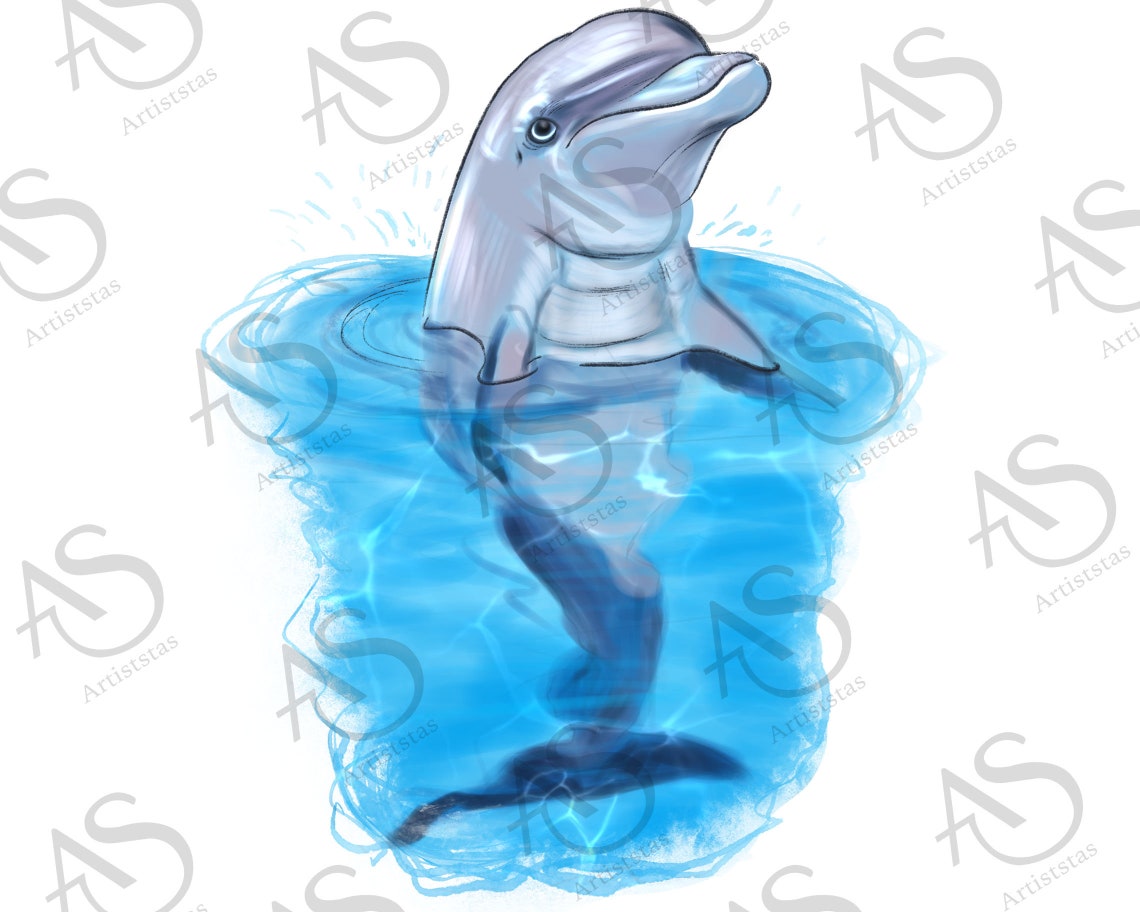 Hand Drawn Dolphin Png Sublimation Design Dolphin Png - Etsy