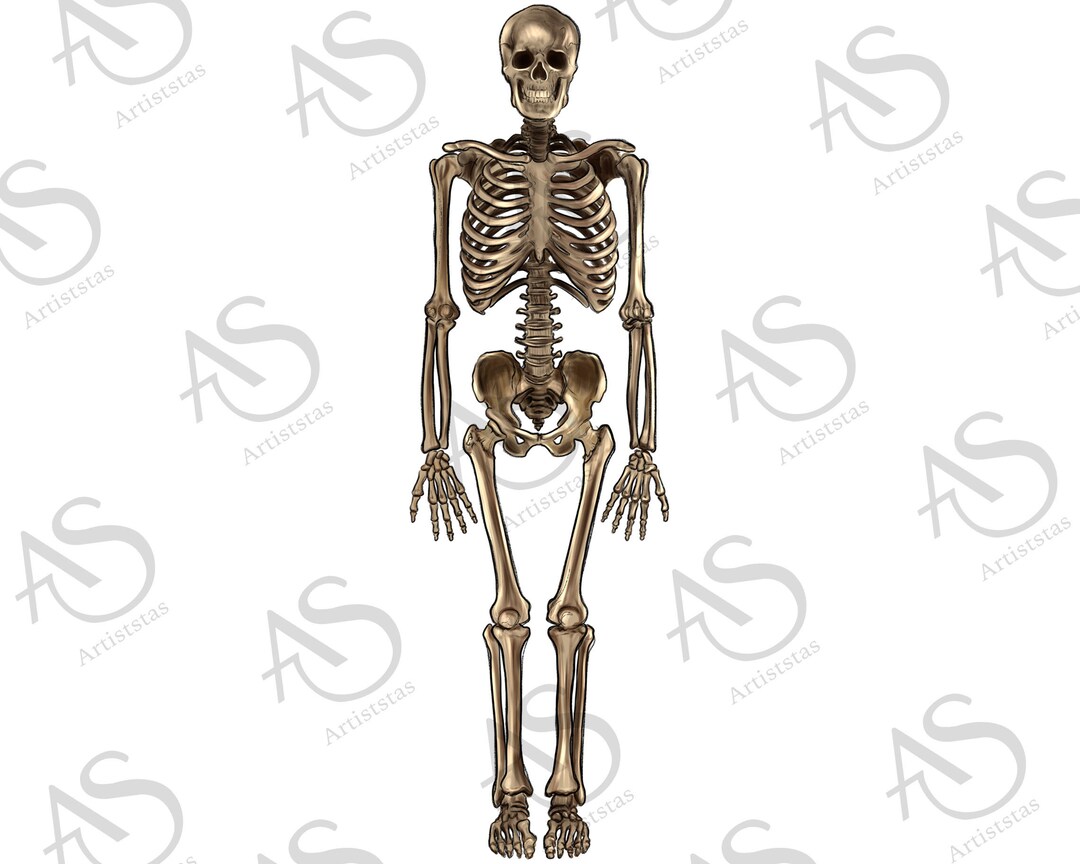Skeleton Png Sublimation Design, Hand Drawn Skeleton Png, Skeleton ...