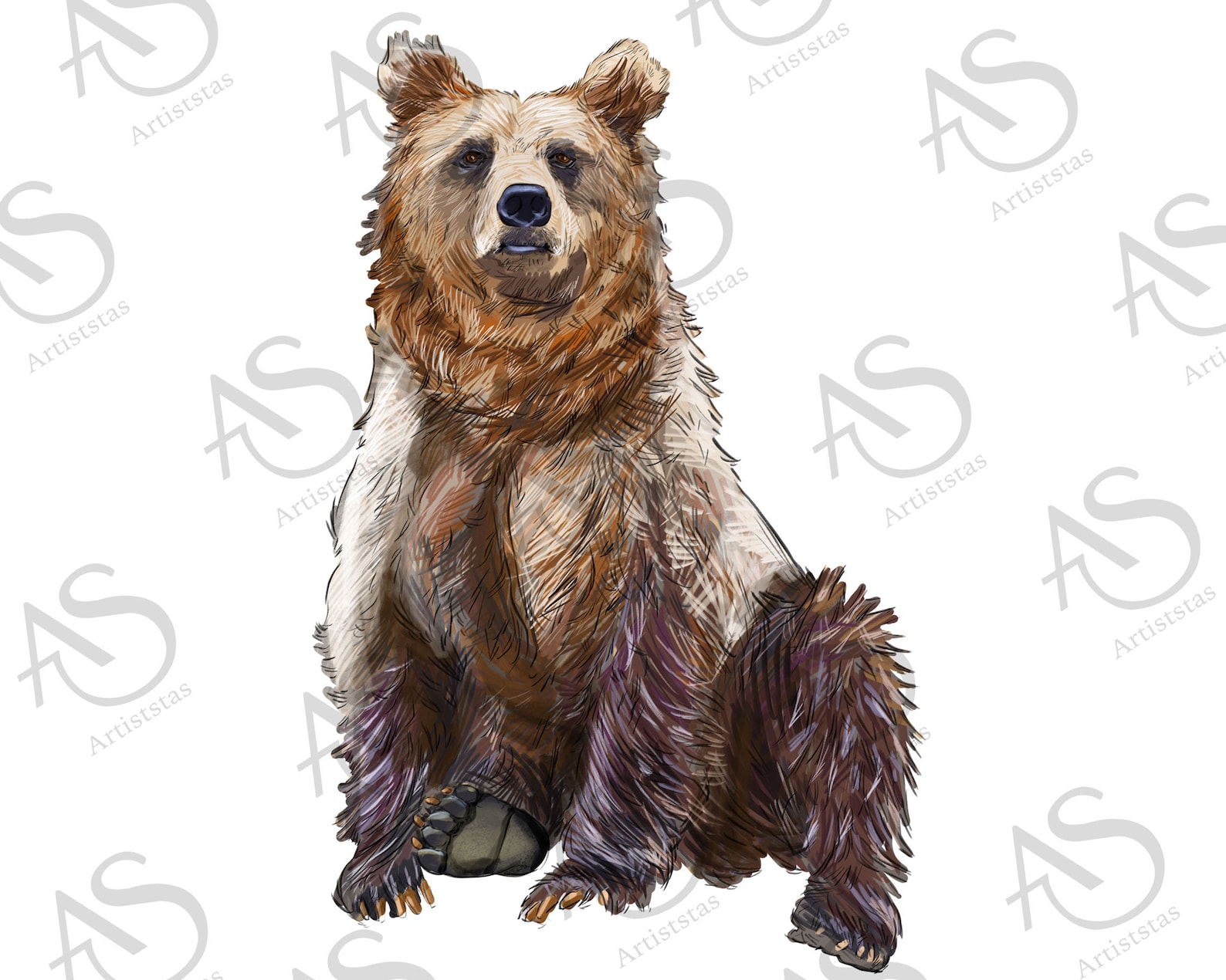 Bear PNG Sublimation Design Download Bear Clipart Handdrawn | Etsy