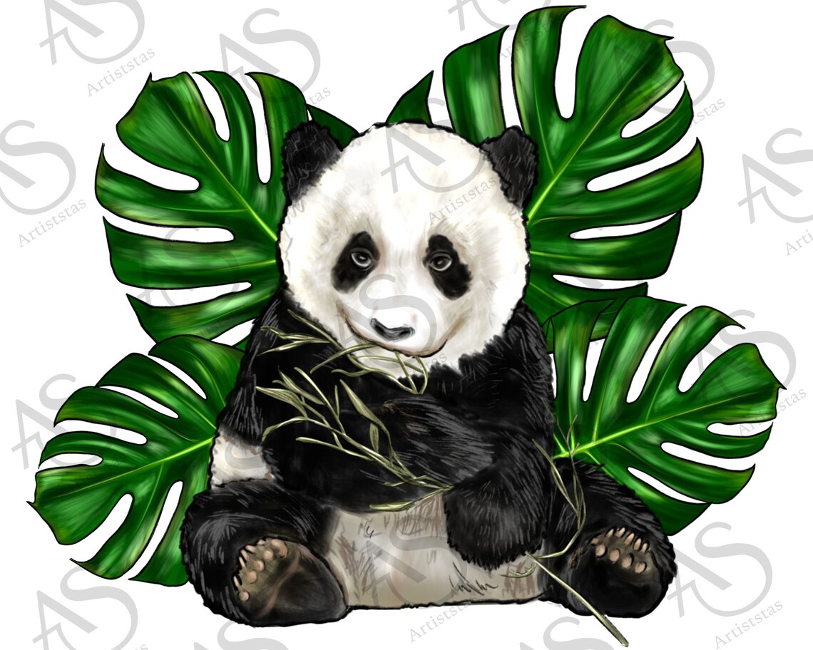 Panda Tropical Leaves Png Sublimation Design Tropical Panda | Etsy