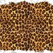Distressed Leopard Background Png Sublimation Design, Leopard ...